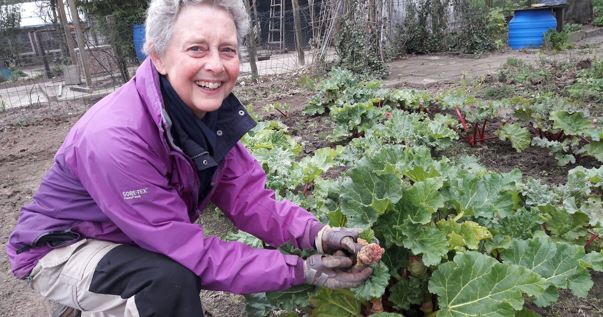 Volkstuinders in Almelo ontwaken: ‘Ik ben blij dat ik hier even naar ...