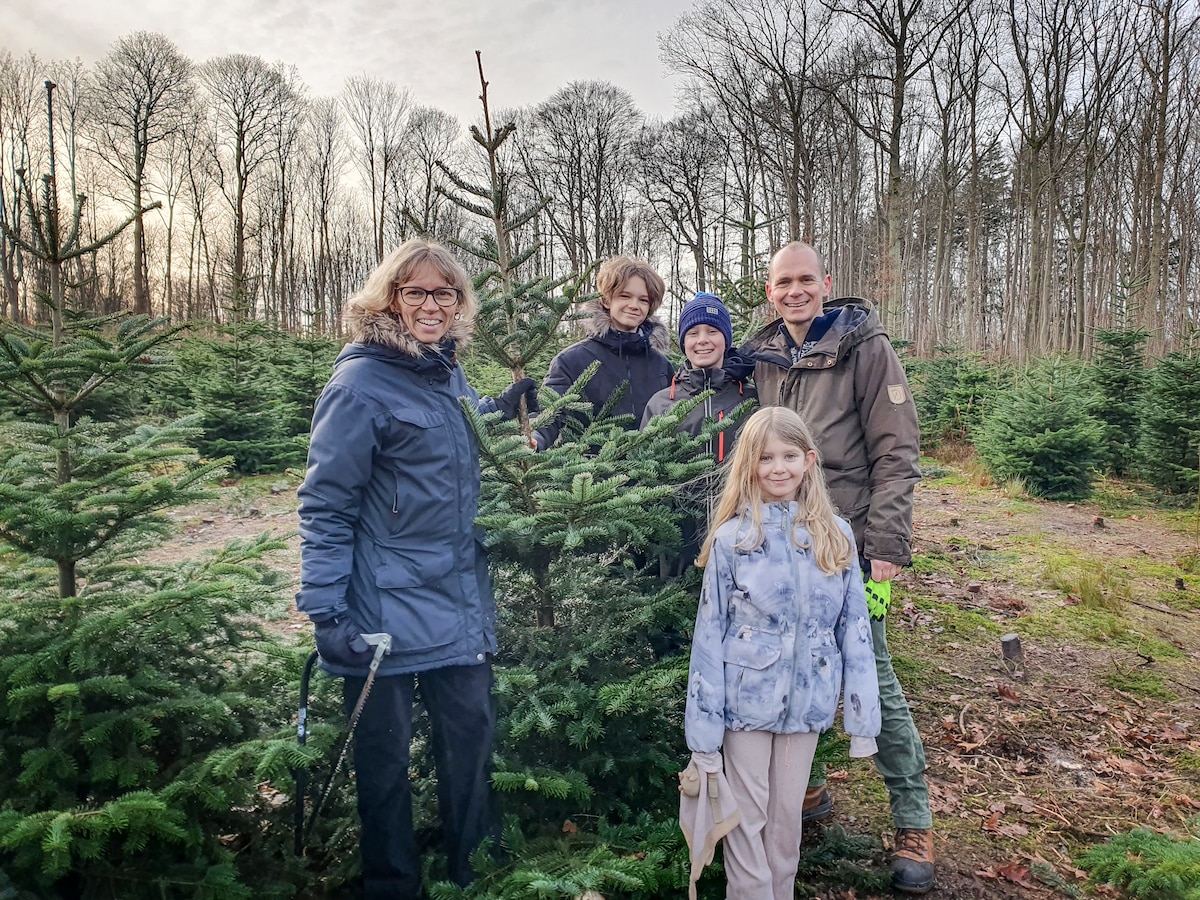 Denemarken en Nederland lijken op elkaar, toch zijn ze daar stuk ...