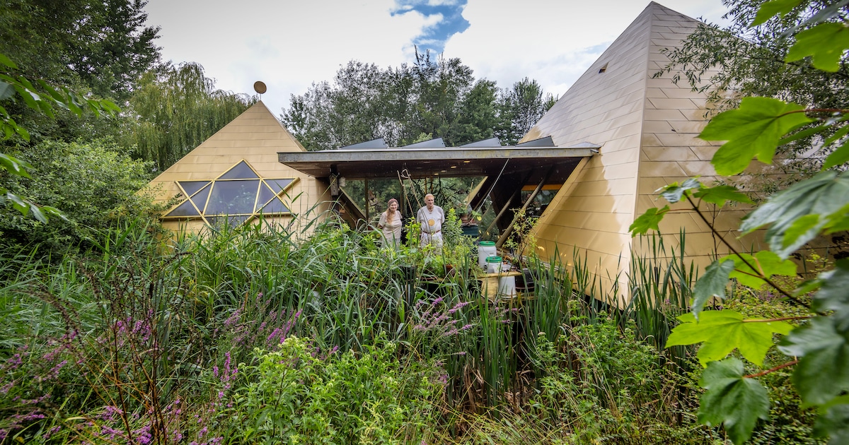 Robert heeft zijn eigen piramide in Almere: ‘Wil hier minstens 130 ...
