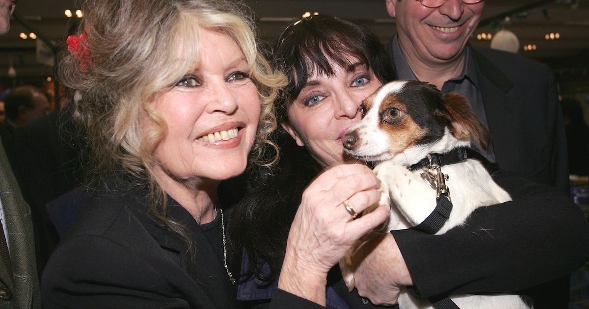 Brigitte Bardot overleed aan gevolgen van kanker | Show | Tubantia.nl