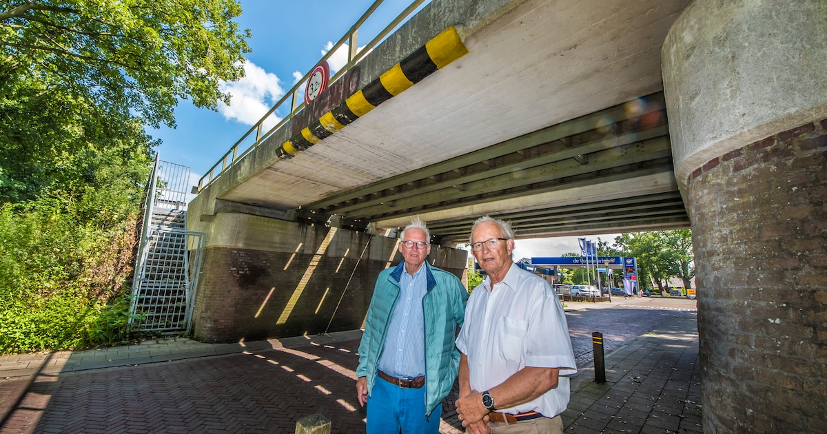 Actiegroep Goederenvervoer Hof van Twente positief over elektrische treinen: ‘Wel zorgen over ...