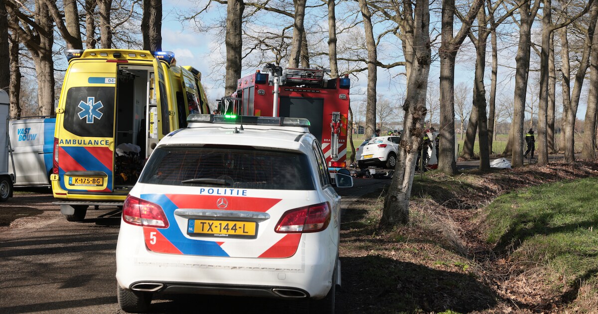 Automobilist komt om het leven bij ongeluk bij Lemelerveld: auto botst tegen boom | Hellendoorn ...