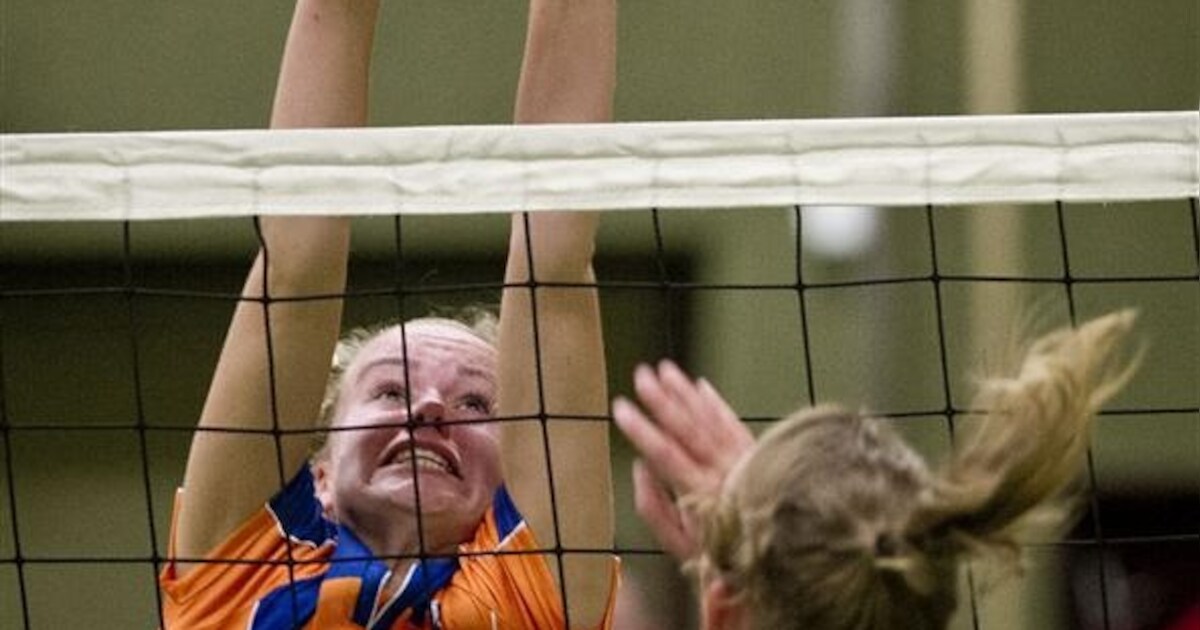 TVT: Hofsté komt, Van Doorn vertrekt | Sport | Tubantia.nl