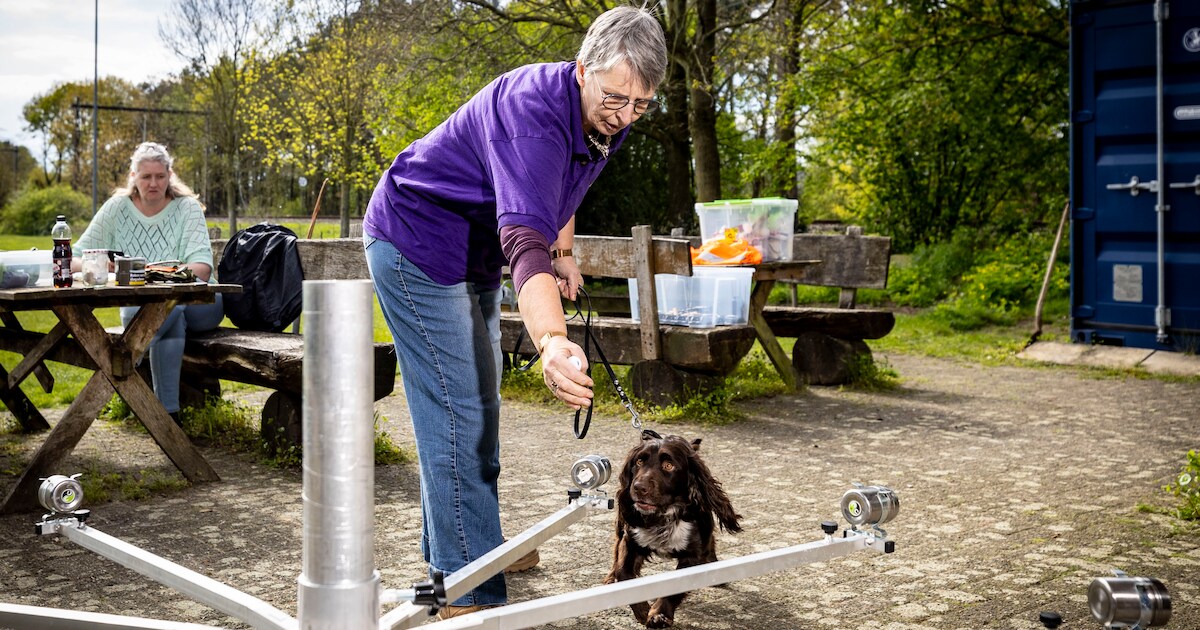 Caroline gaat met haar Oldenzaalse hondenschool veel verder dan ...