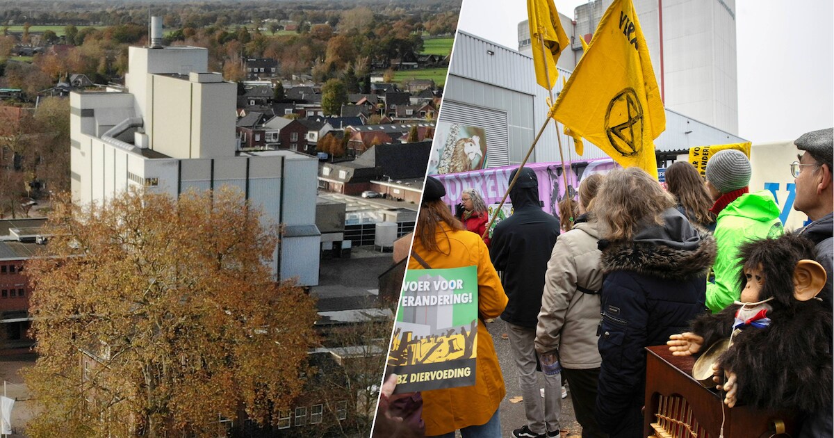 ABZ Diervoeding na Markelo ook in Eindhoven in de fout: ook miljoenen ...