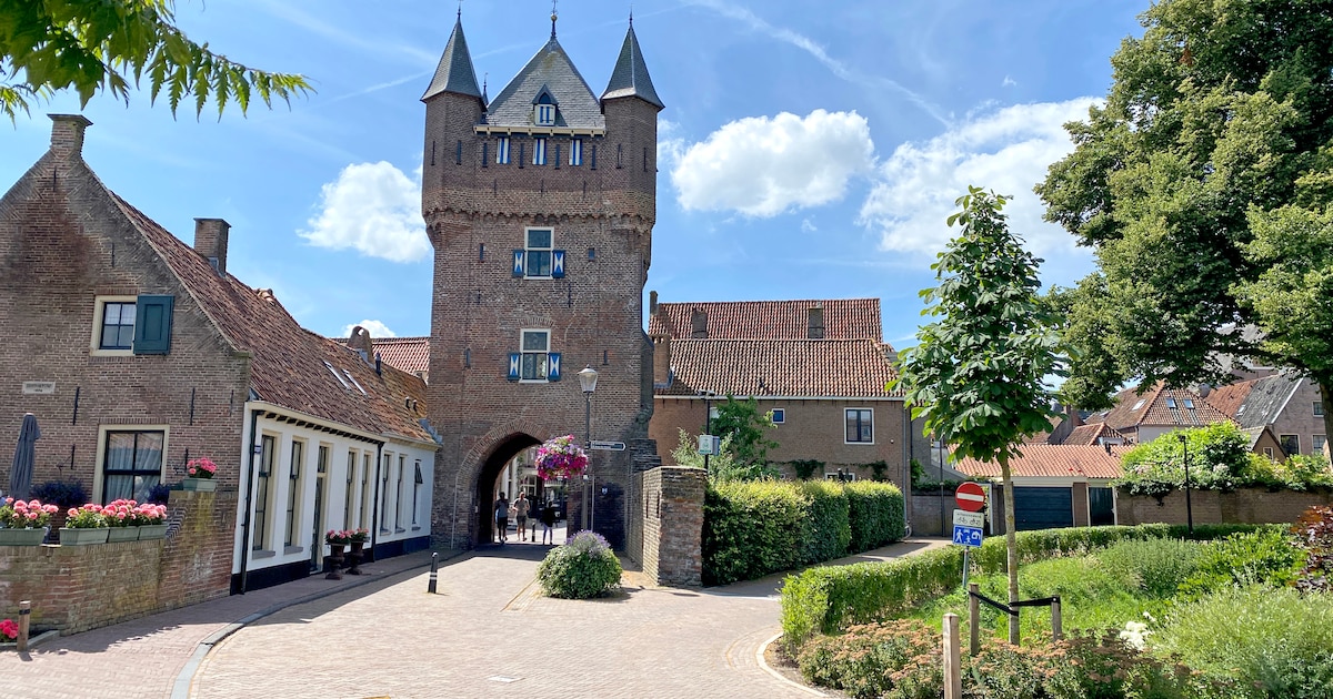 Water, dijken én de voor ons land unieke Dijkpoort | Enschede | Tubantia.nl