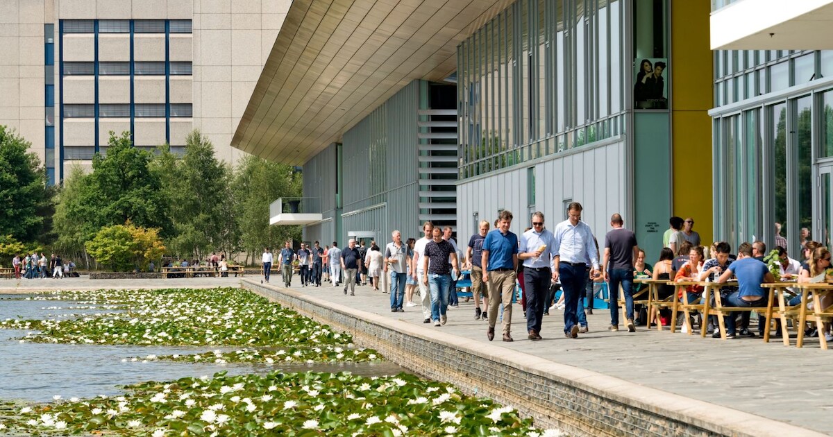 Demcon uit Enschede zoekt ook in Eindhoven ondernemende studenten en ...