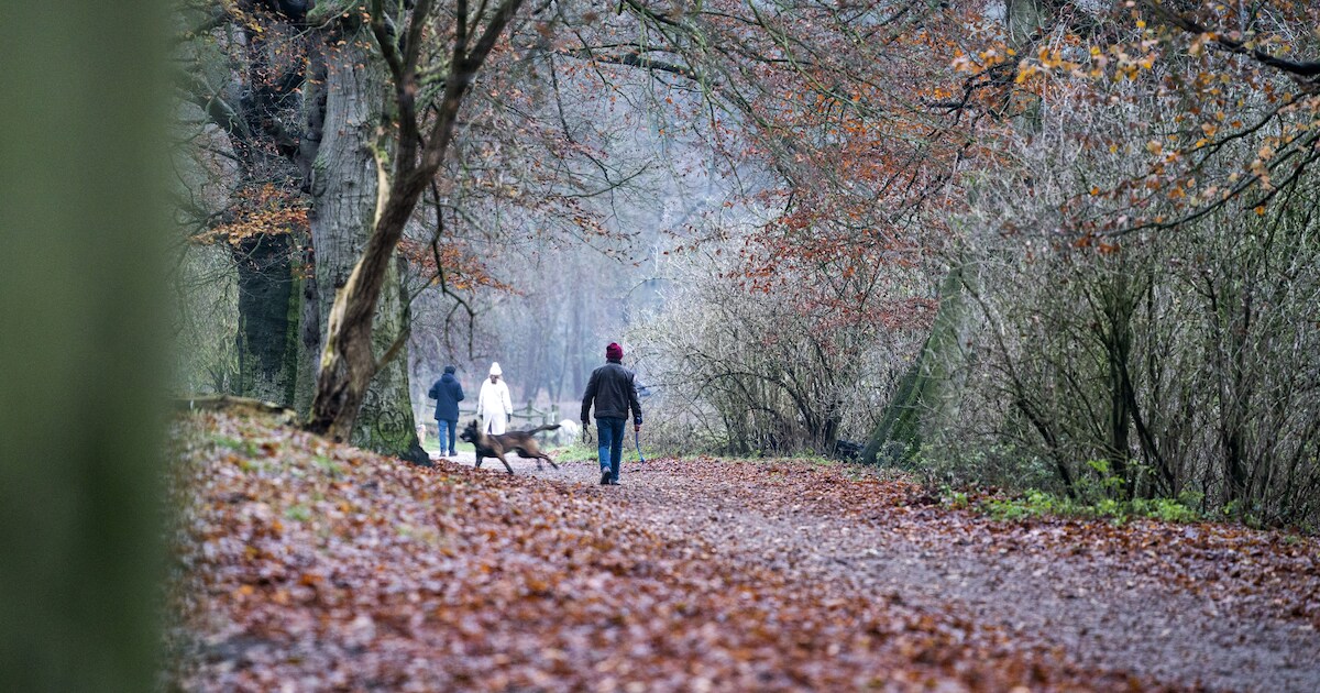 Komende week gaat het vriezen: nazomer nu echt voorbij | Binnenland ...