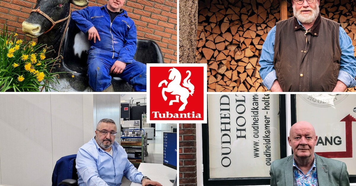 Betekent ChatGPT het einde van geschreven werkstukken? ‘Een academisch ...