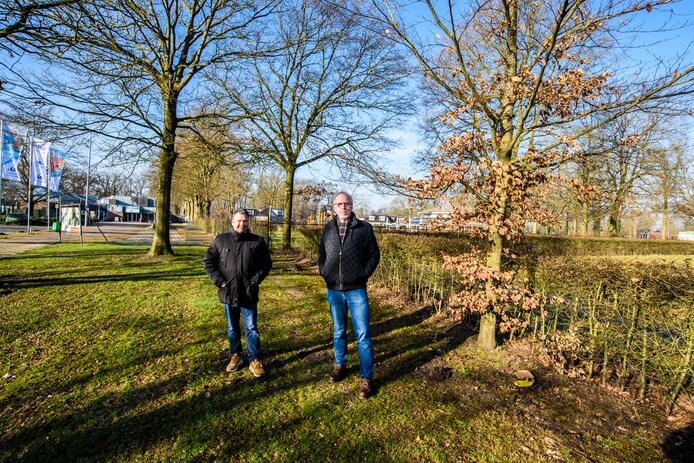 Sport- en onderwijscampus op Scholtenhagen (met nieuw Assink lyceum ...
