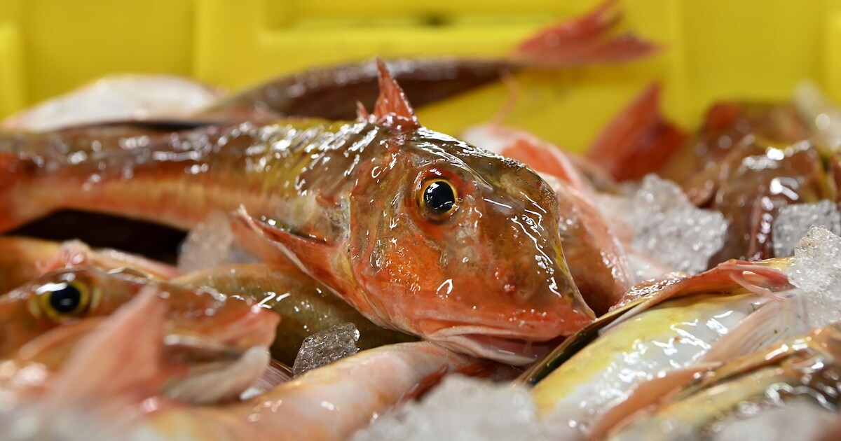 Enschedese viszaak weigert salaris te betalen aan vertrekkende ...