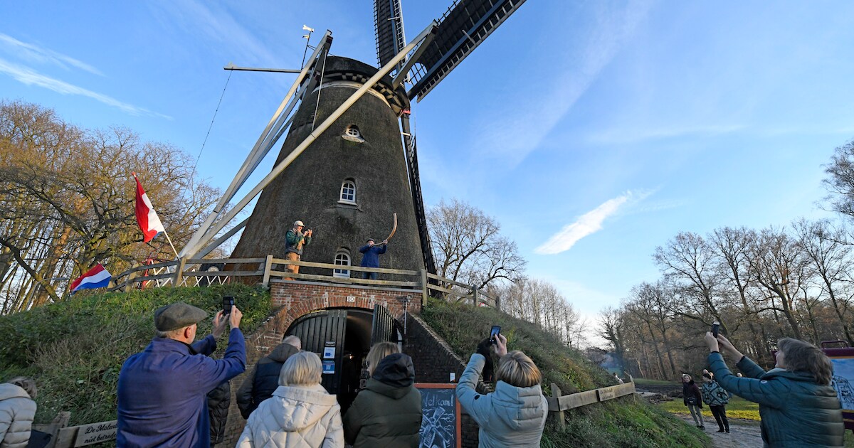 Het is december, dus klinkt de ‘oale roop’ bij de molen op ’n Bölt ...