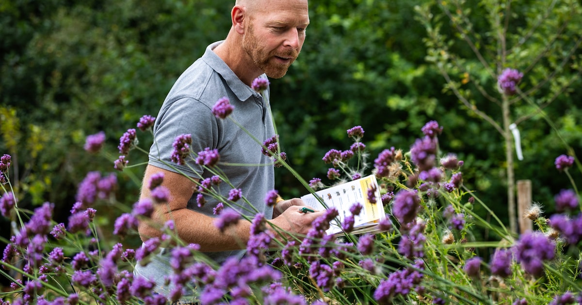 Dirk Jan uit Daarlerveen neemt wespen en hoornaars mee naar huis ...