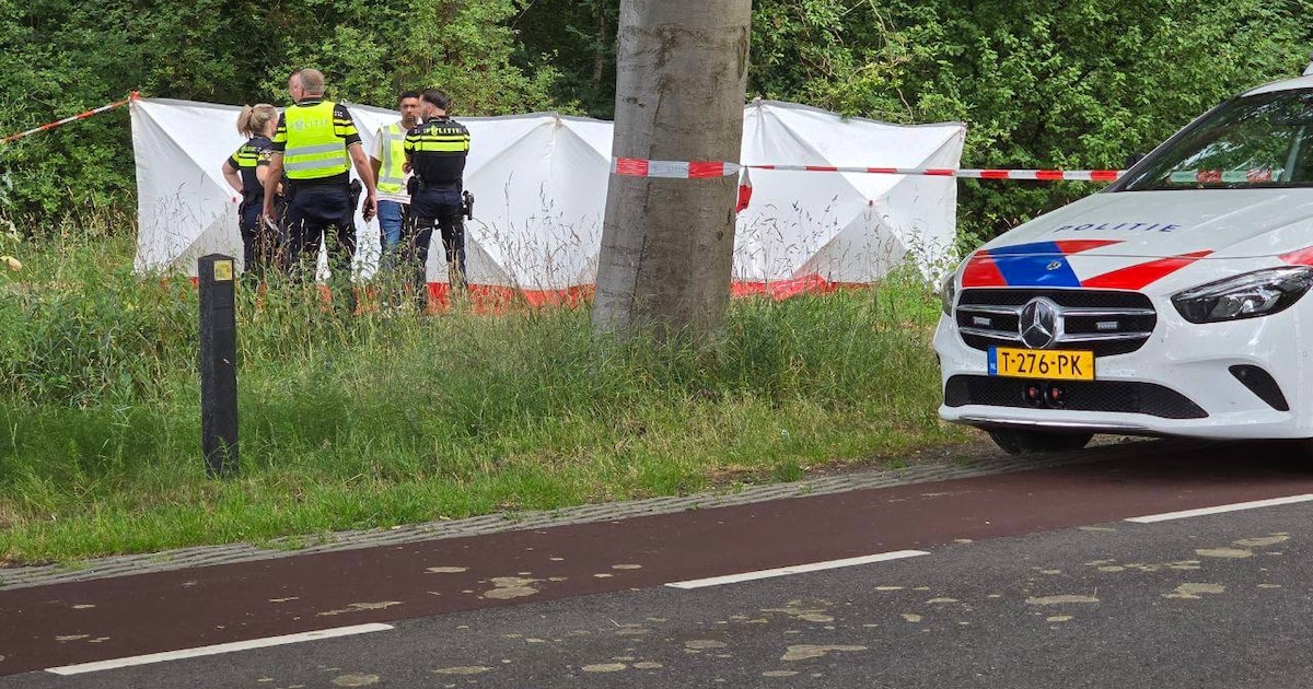 Lichaam gevonden langs weg bij Vorden, politie sluit misdrijf uit | Winterswijk | tubantia.nl