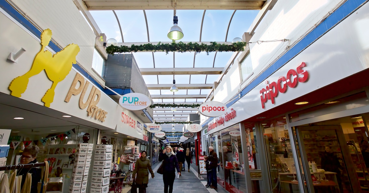 Pipoos wil na zeven jaar terug naar Enschede | Enschede | Tubantia.nl