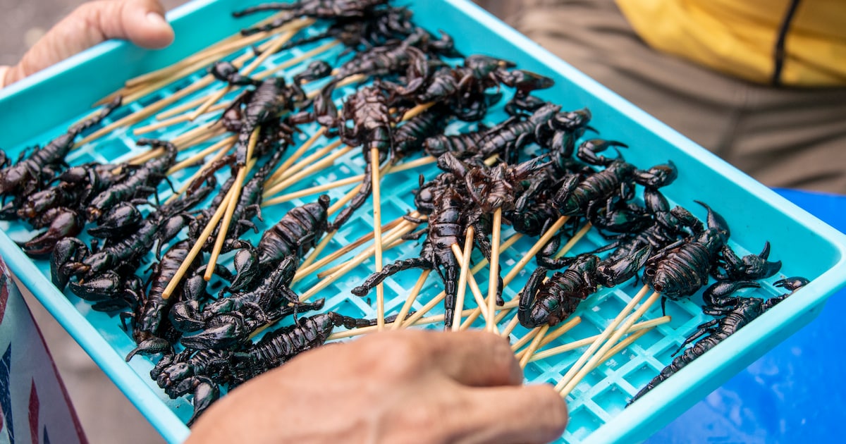 Insecten als voedsel: hoe leren we lief te zijn voor de meelworm ...