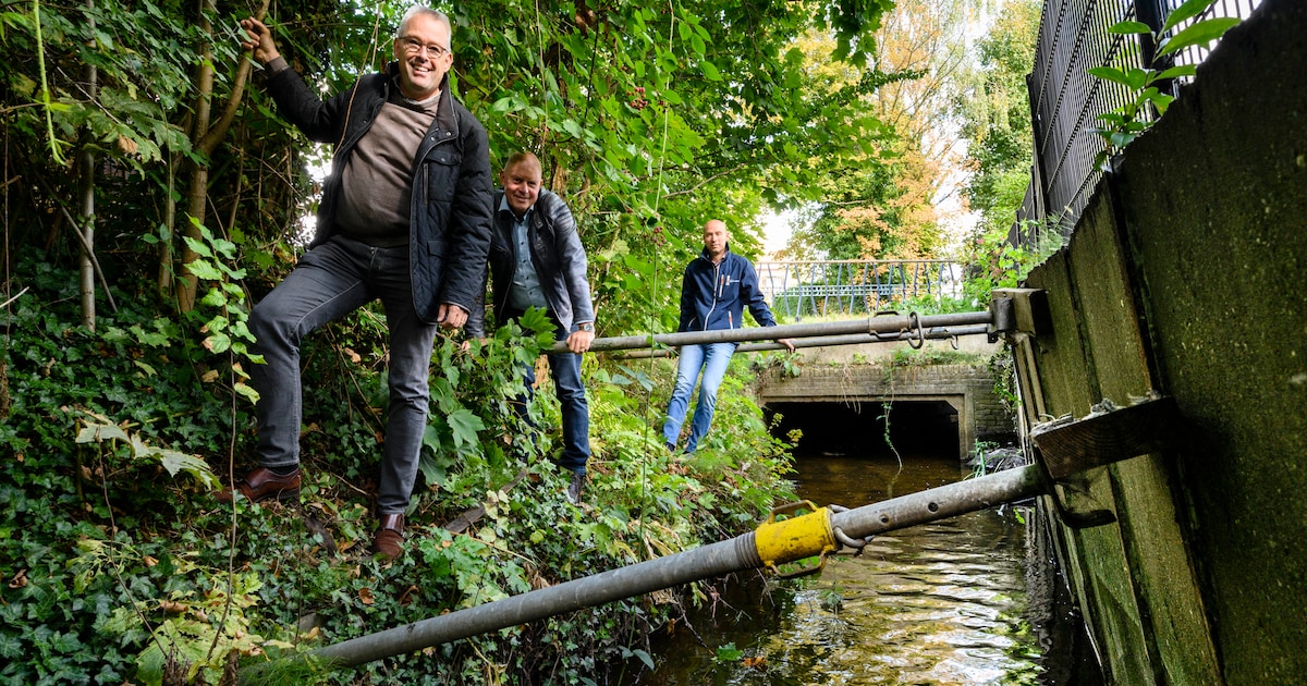 Steeds meer tuinen ‘verstenen’, maar hoe krijg je Hengeloërs zover dat ...