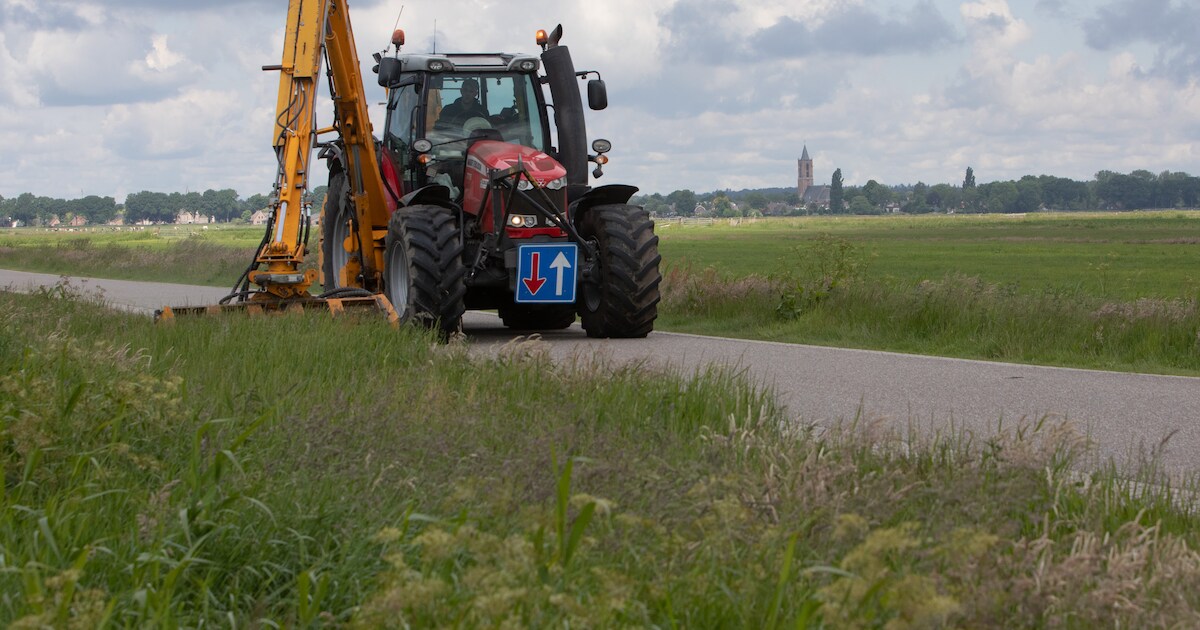 Losser geeft waterschap tik over de vingers: Weer maaien ‘op ongunstig ...