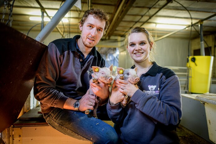 Varkensbedrijf Hendriksen uit Fleringen koos voor biologisch: ‘De ...