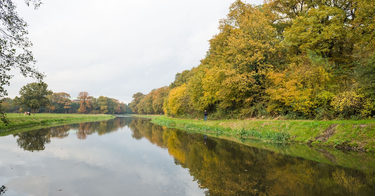 Het eeuwige balanceren tussen groei en groen: ‘Almelo heeft weer 70 ...