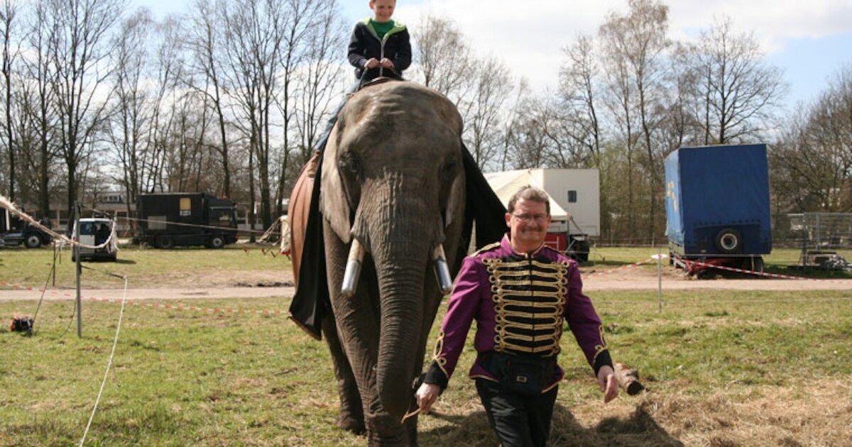 Kijkje achter de schermen van het circus | Oldenzaal | Tubantia.nl