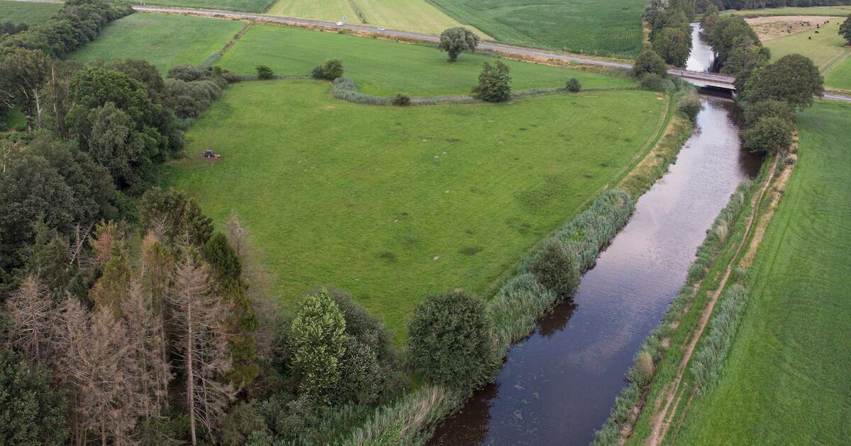 Natuur krijgt ruimte langs slingerende Regge bij Rijssen: ‘Veel te ...