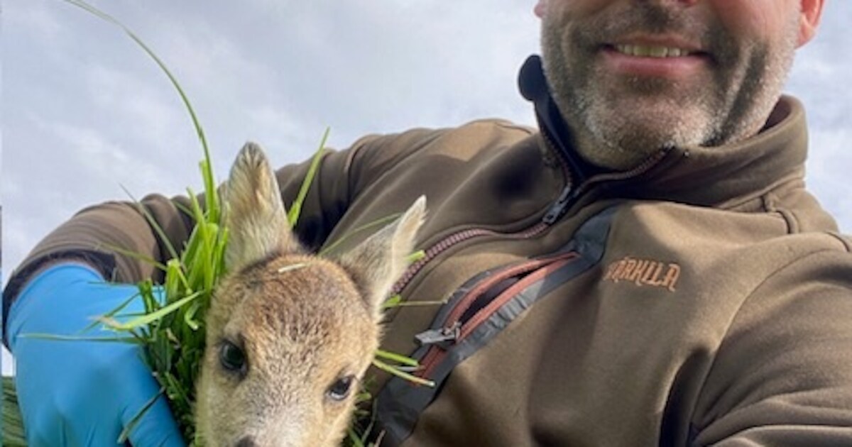 Reetjes redden met de wildbeheerders uit Hof van Twente: ‘Houd je hond ...