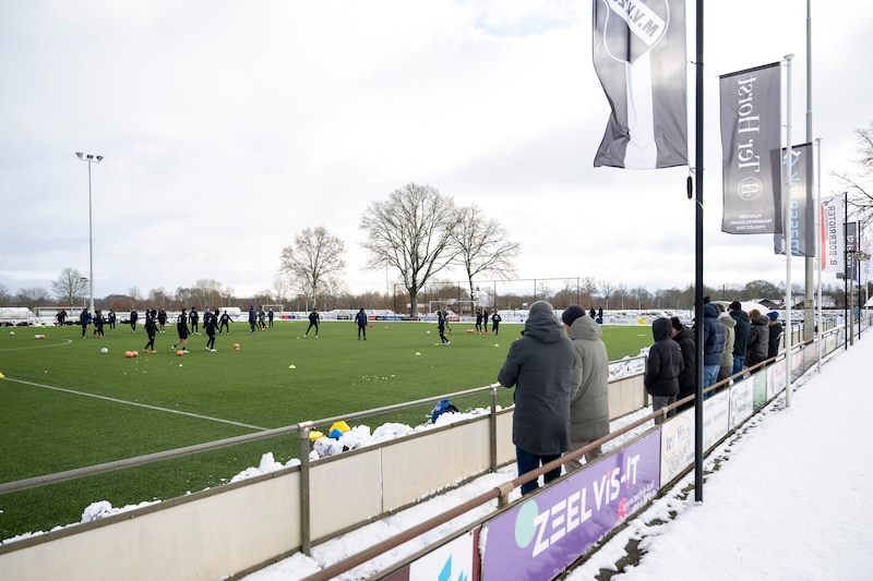 MVV’29 biedt Heracles Almelo helpende hand | Heracles | Tubantia.nl