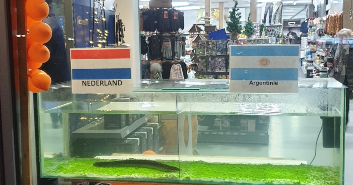 WK-voorspelvis Louis van Aal had het gruwelijk mis en wie ging aan de ...