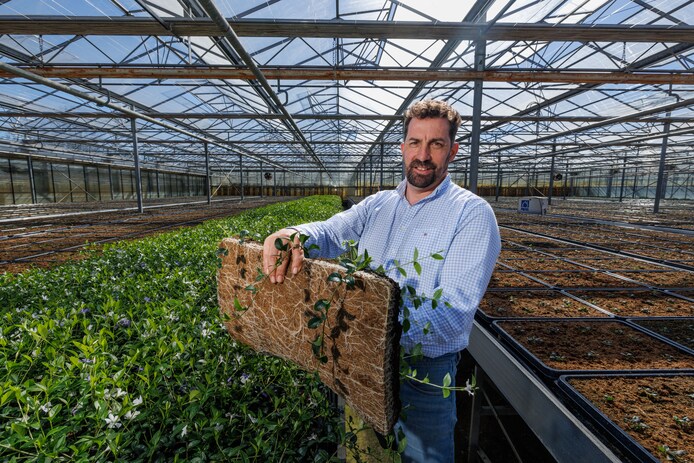 Wachten tot het groen wordt rond je huis? Holtens bedrijf levert kant ...