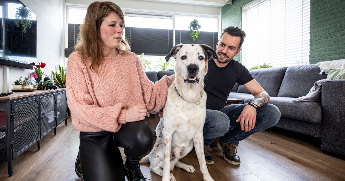 Het komt hard aan, maar Erwin en Kelly zoeken naar nieuw plekje voor ...