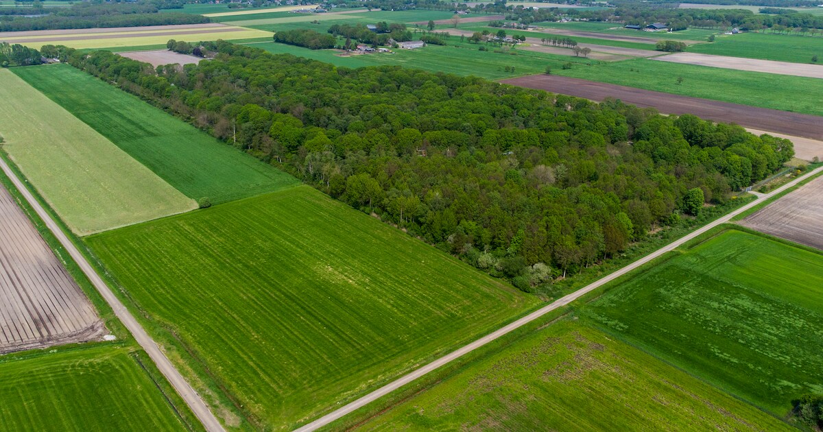 Provincie zet Twentse ‘weigergemeenten’ buitenspel: er komen 11 tot 14 ...