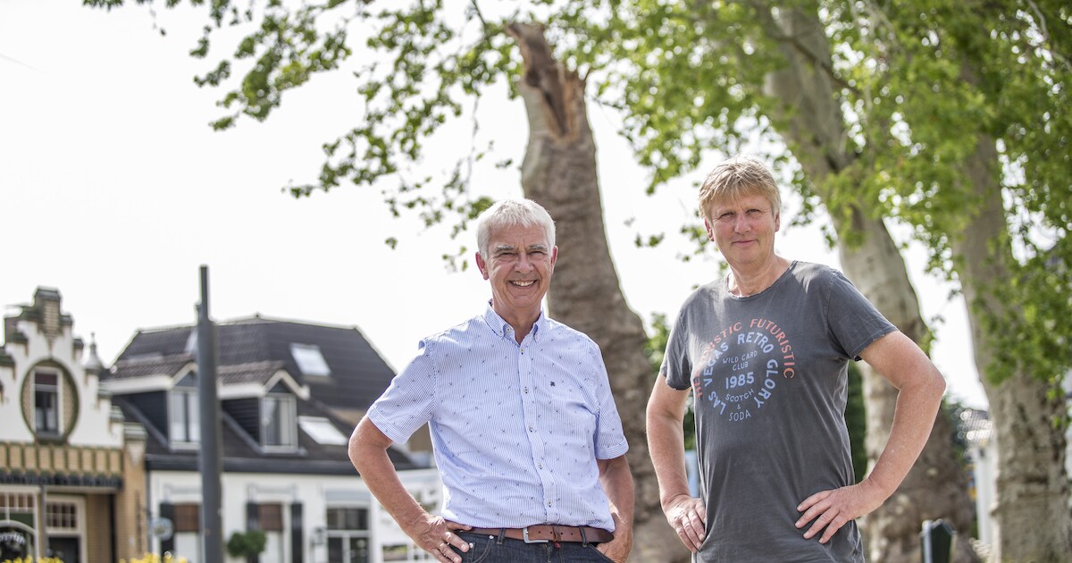 Hoe nu verder met het Plein onder de Platanen in Diepenheim? ‘Wij ...