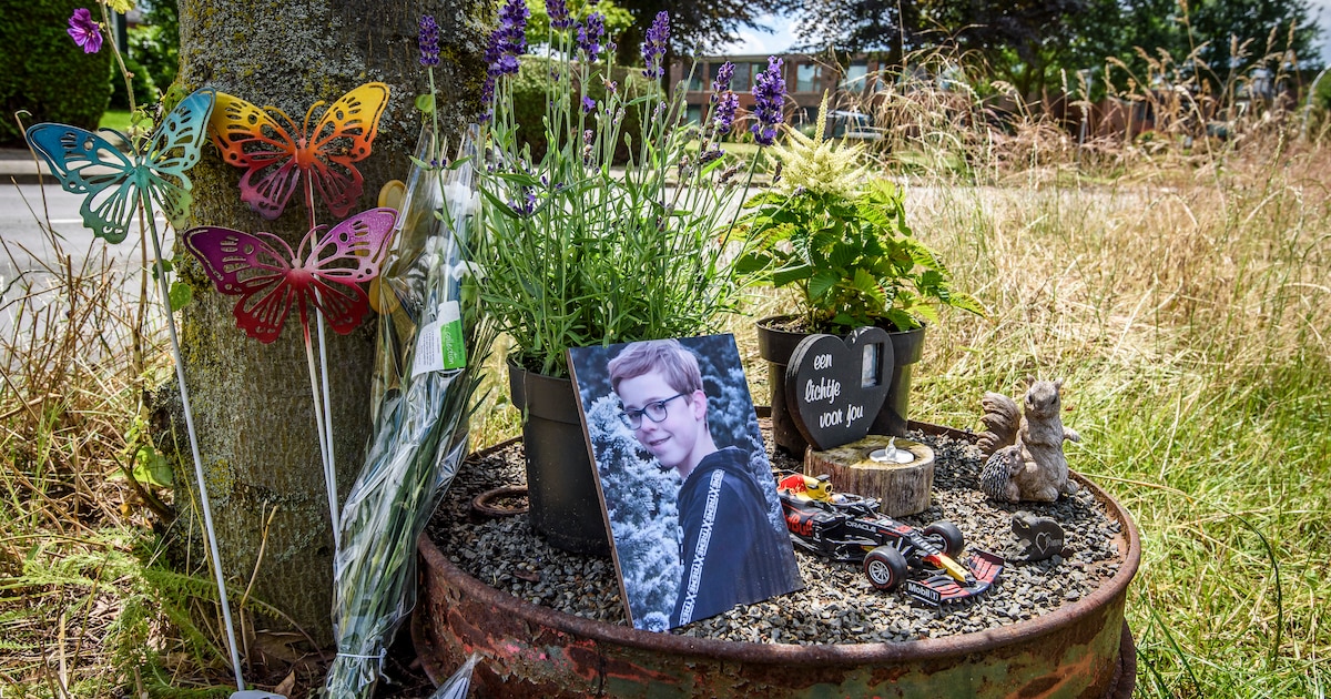 Grote opluchting bij ouders Bram (12), slachtoffer klaphamerdrama ...
