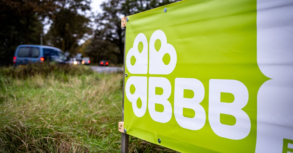 Zet BBB verhoudingen in Dinkellandse politiek op z’n kop? Partij wil ...