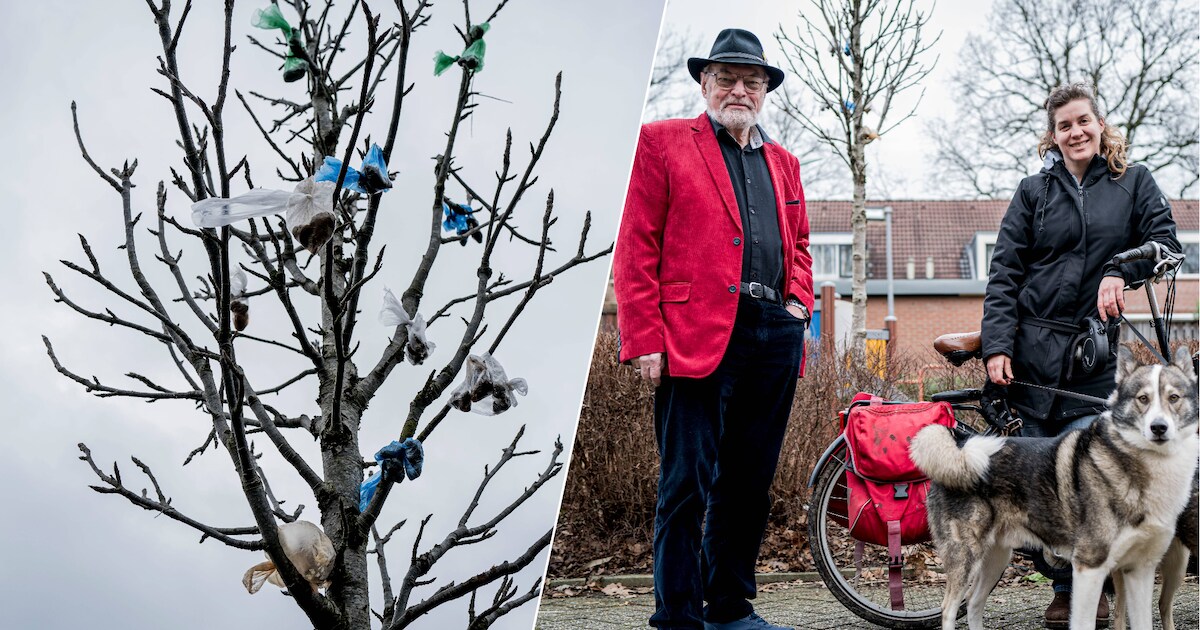 Boom met poepzakjes in een speeltuin in Almelo: ‘Welke idioot doet ...