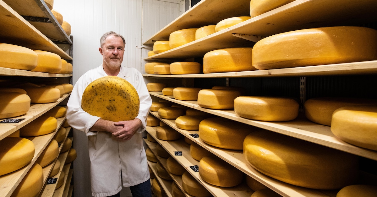 Wie verlost deze kaasmaker uit Borne van 8000 (!) kilo kaas? ‘Het gaat ...