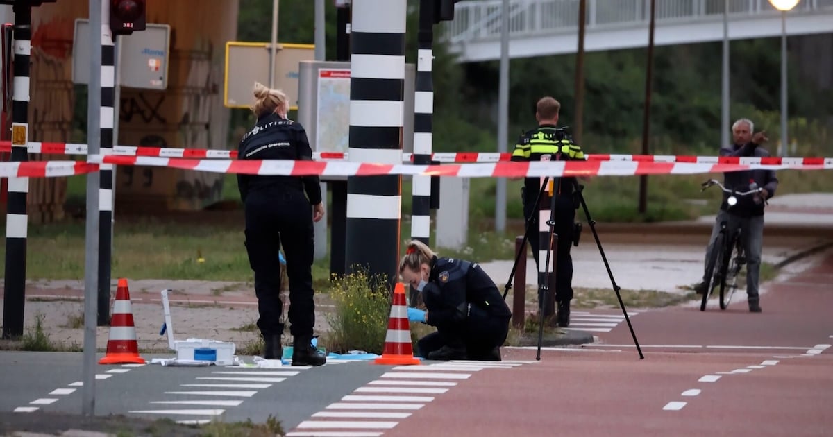 Man wilde asielzoekers vermoorden om ‘statement te maken’ over Lisa ...