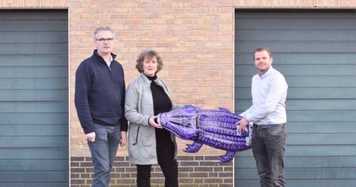 Kwestie Beernink blijft op de politieke agenda: ‘Deze zaak blijft aan ...