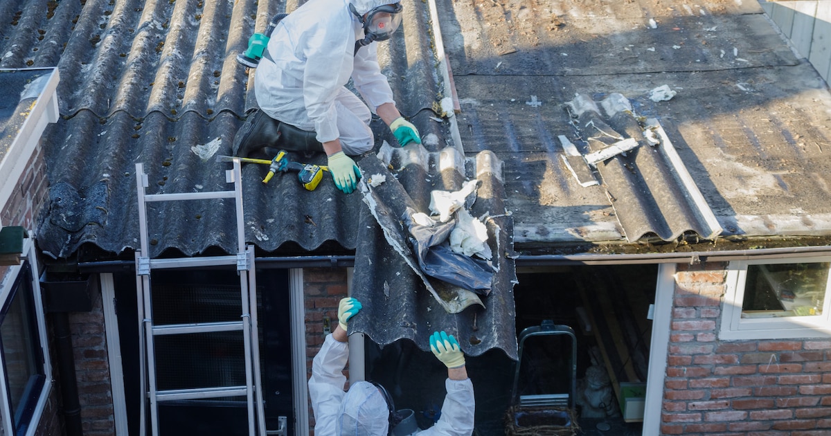 Inwoners van Goor gaan samen asbestdaken te lijf | Hof van Twente ...
