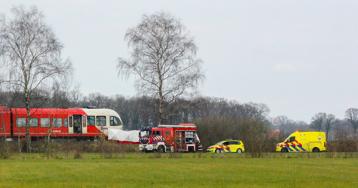Automobilist overlijdt bij botsing met trein op spoorwegovergang bij ...
