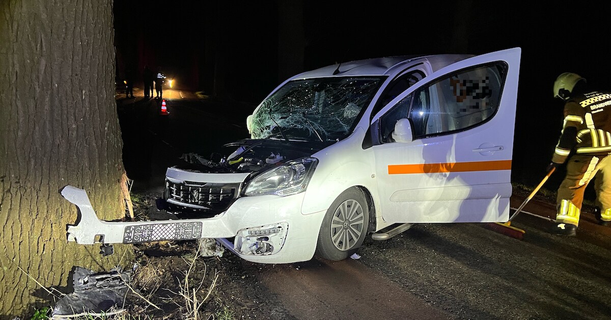 Bestelbus raakt van de weg en klapt tegen boom bij Raalte | Rijssen-Holten | tubantia.nl