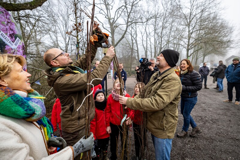 Aantal bomen in ons landschap blijft afnemen, dus volgt nu maximale ...