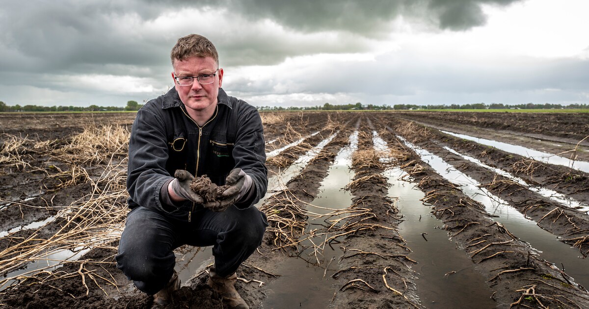 Natte akkers en uitgesteld zaai- en pootgoed: ‘Loonwerkers straks ...