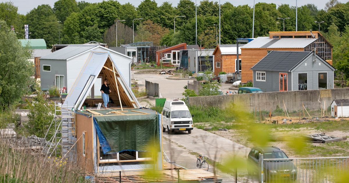 Op deze plek in Almelo komen 11 tiny houses: ‘Waarom drie slaapkamers ...