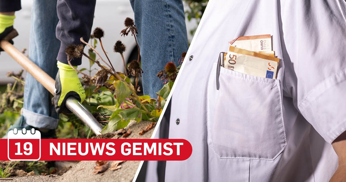 Gemist? Hof van Twente kampioen tegelwippen & zorgmedewerkers slepen ...