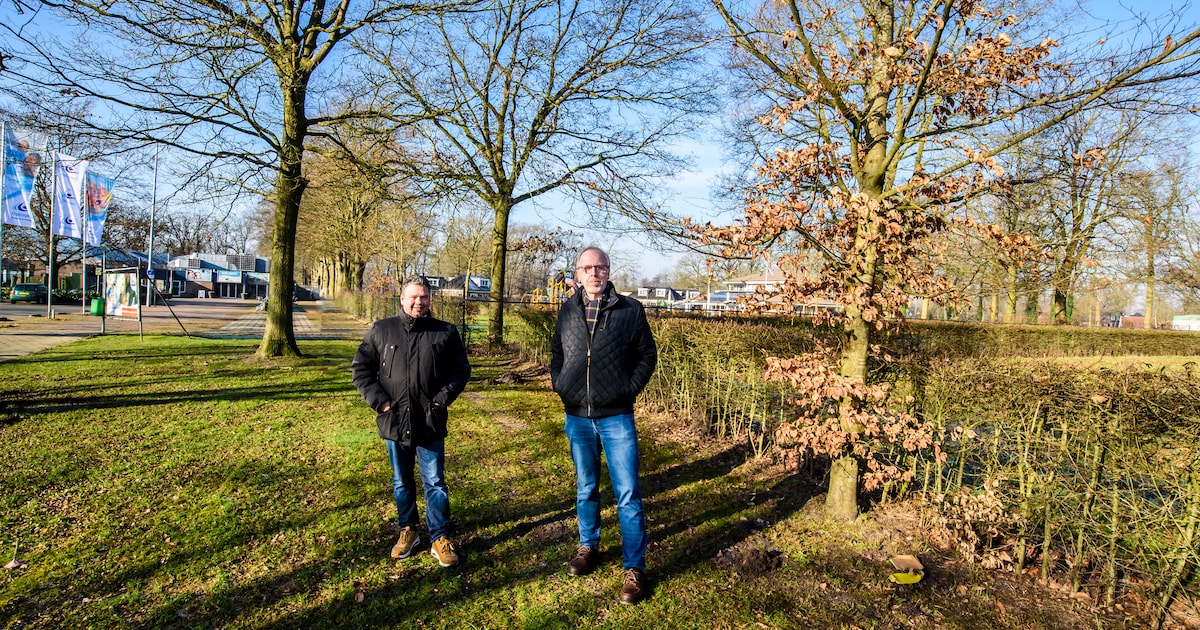 Sport- en onderwijscampus op Scholtenhagen (met nieuw Assink lyceum ...