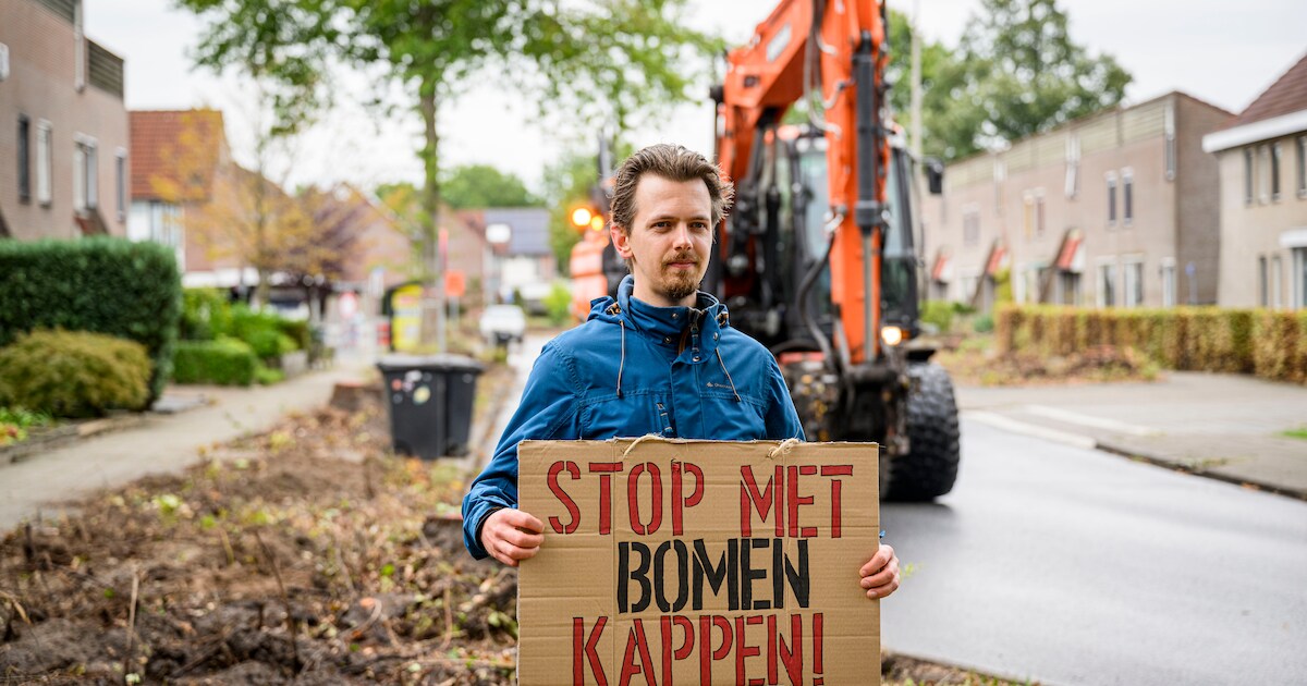 Hoe Jesse de laatste dertien bomen aan de Zeven Bosjes probeert te ...
