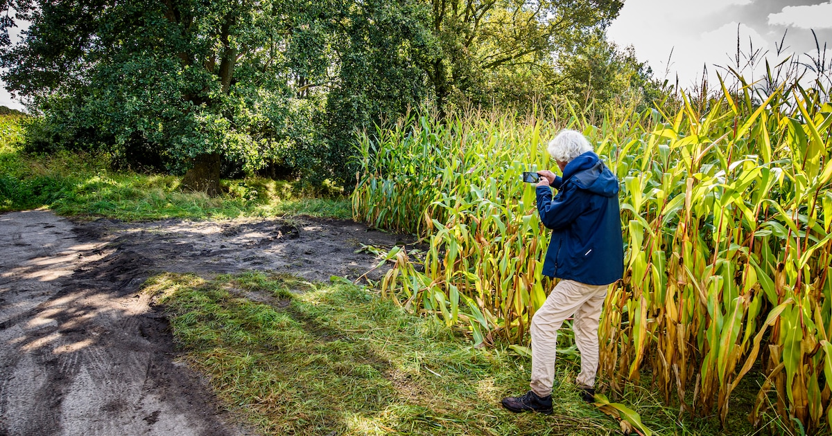 Op de plek waar twee lijken werden gevonden, klinkt plots een ...