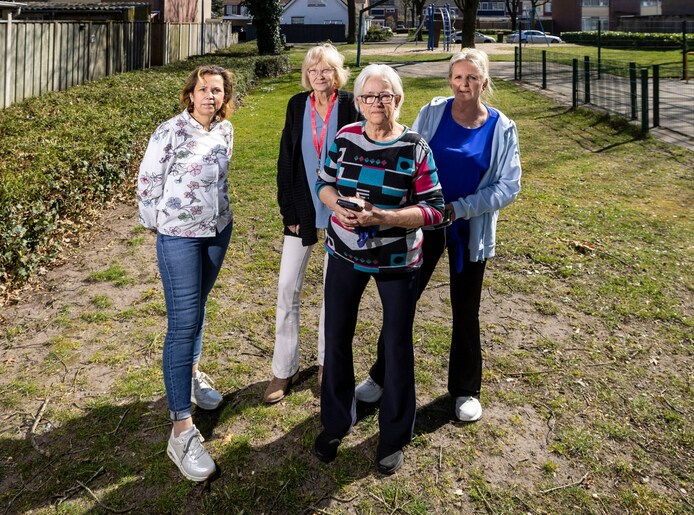 Ratten nemen Losserse straten over: 'Ik slaap 's nachts niet meer, ik ...